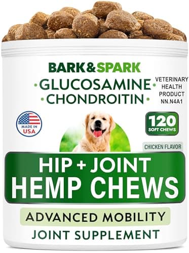 CBD and Hemp Supplements for Dogs — Canada 2026 Buying Guide & Top Picks